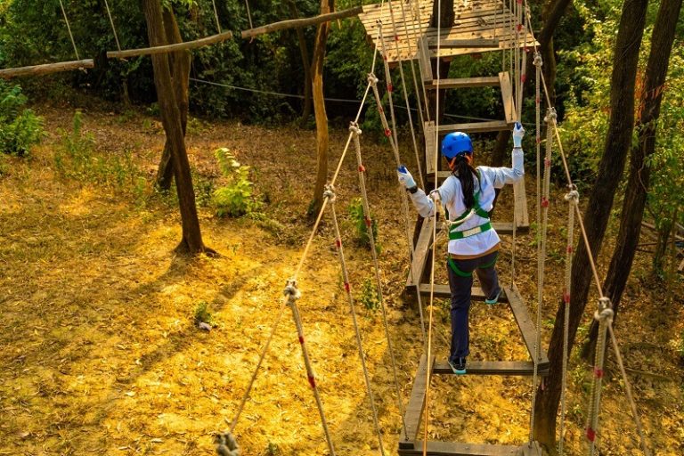 Treasure Hunt – Foy's Lake BASECAMP